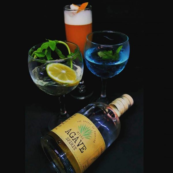 Casa Agave es Ecuador: un proyecto integral excepcional - Quinti