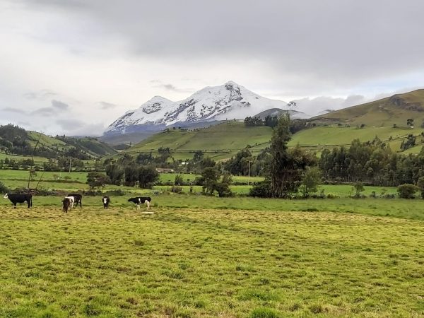 La Chimba en Cayambe: conoce sus secretos - Quinti