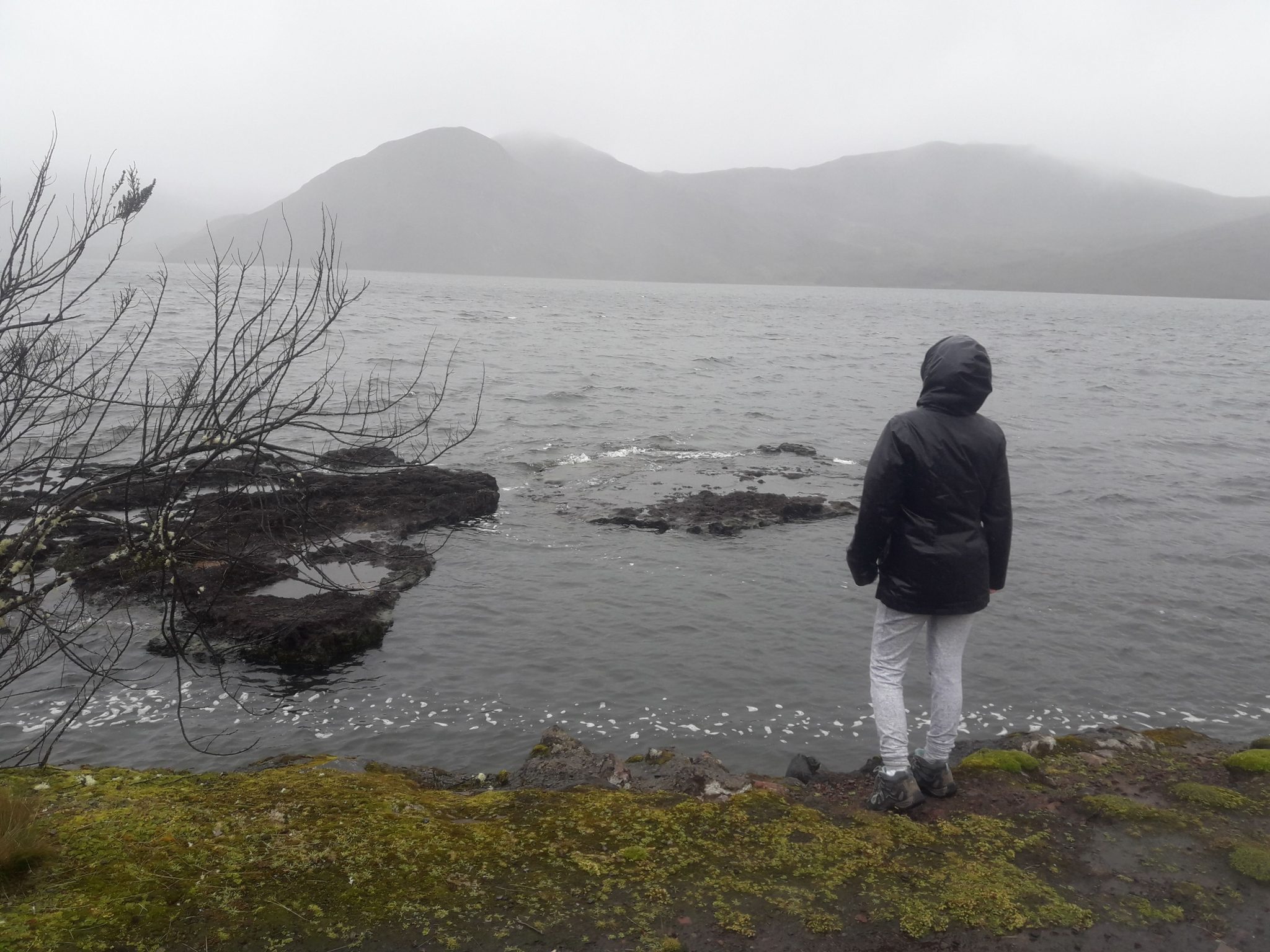 Parque Nacional Antisana, conociendo sus maravillas - Quinti